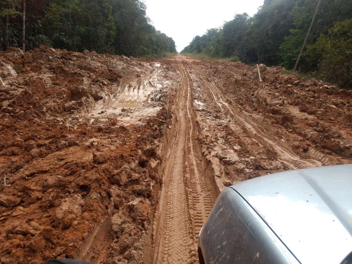 Como é a BR-319, a rodovia que atravessa a floresta amazônica - Turboway